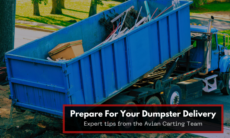 How to Prepare for a Dumpster Delivery: Expert Tips from the Avian ...